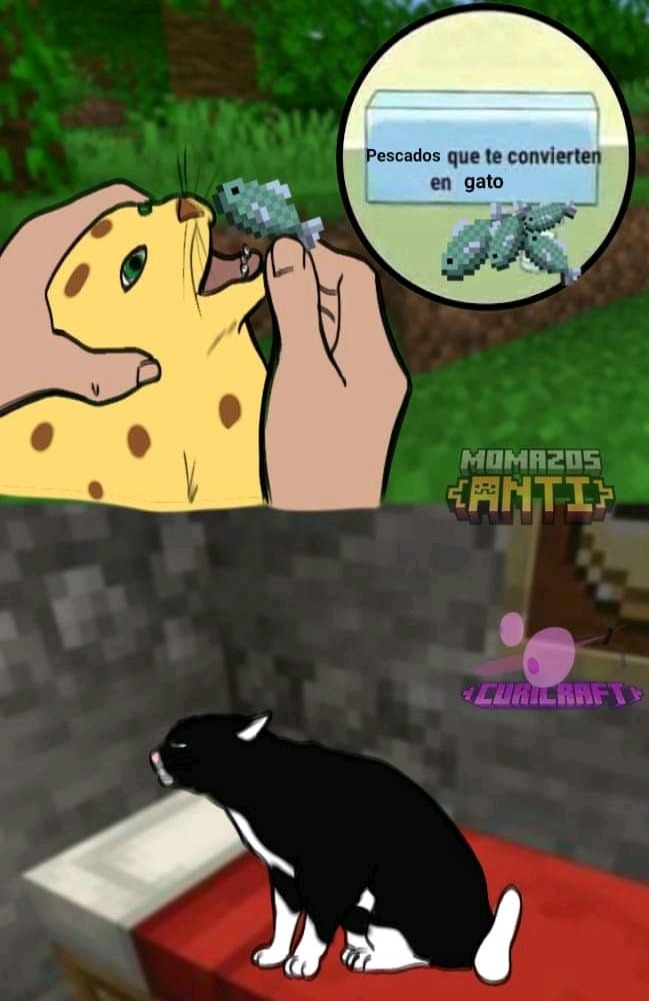 Top memes de Curimomo en español :) Memedroid