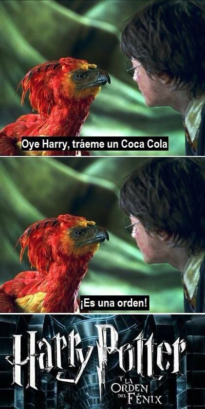 Es una orden - Meme subido por Patrick69 :) Memedroid