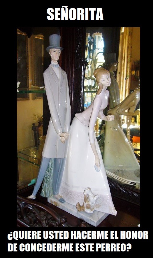 Últimos memes :) Memedroid