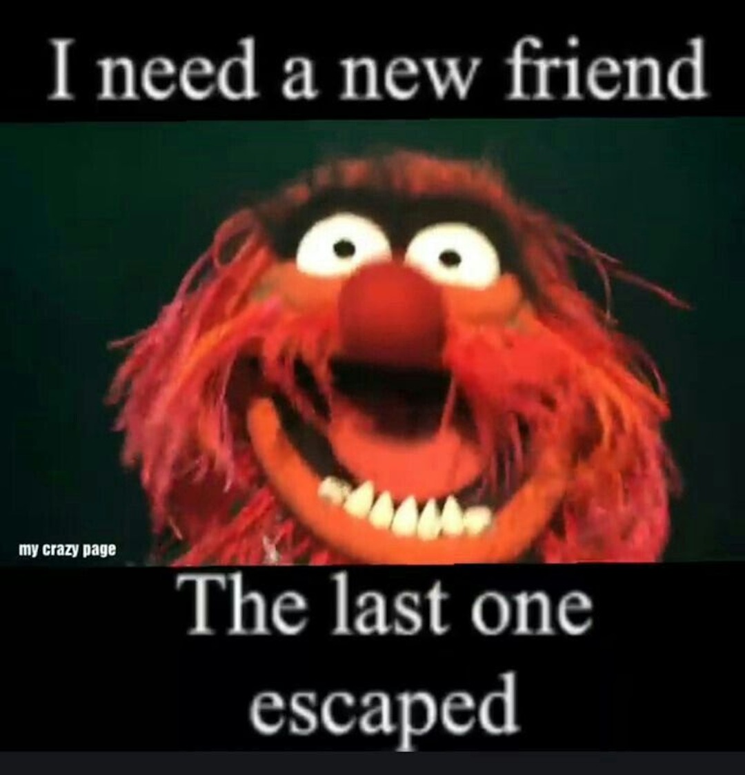 Latest memes / New memes :) Memedroid