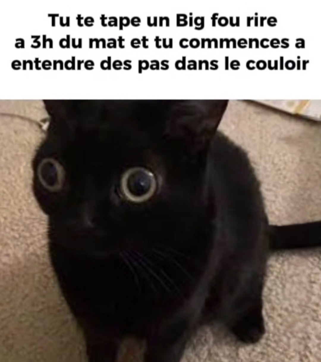 Les meilleurs mèmes de la semaine :) Memedroid