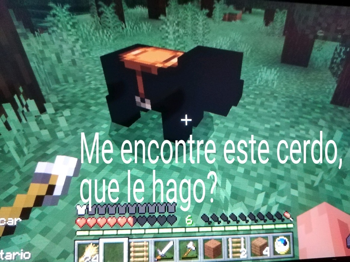 Top memes de cerdo en español :) Memedroid