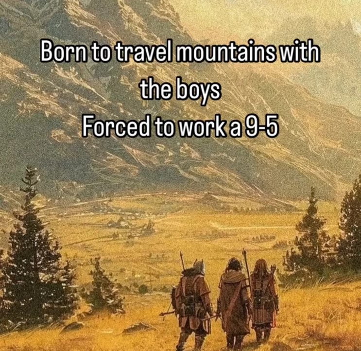 The Latest Memes :) Memedroid