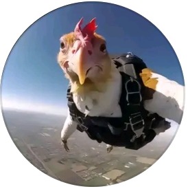 Los Últimos Memes :) Memedroid