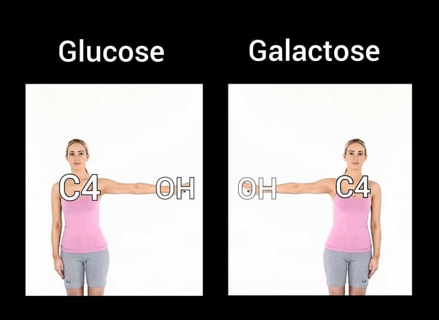 The best Structural Humor memes :) Memedroid