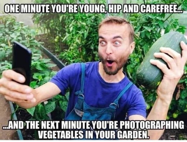 self sufficient - Meme by Bloodnut187 :) Memedroid