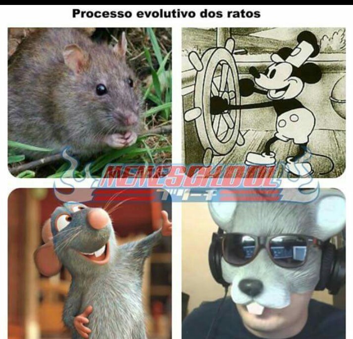 Rato bolachudo - Meme subido por Rafael_GTA5 :) Memedroid