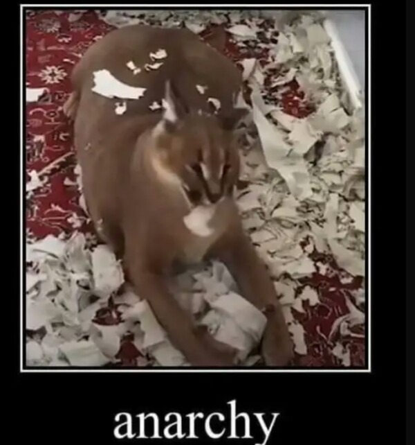 Los Últimos Memes :) Memedroid