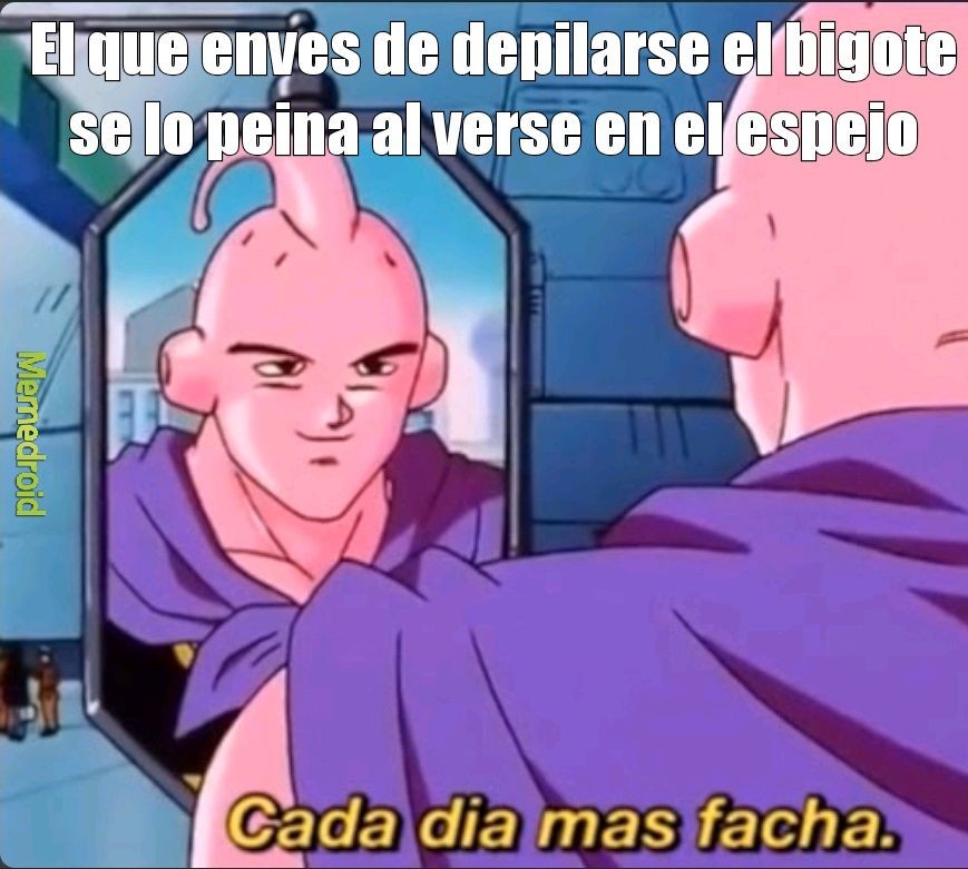 Bigotes facheros - Meme subido por KaiserVicente369 :) Memedroid