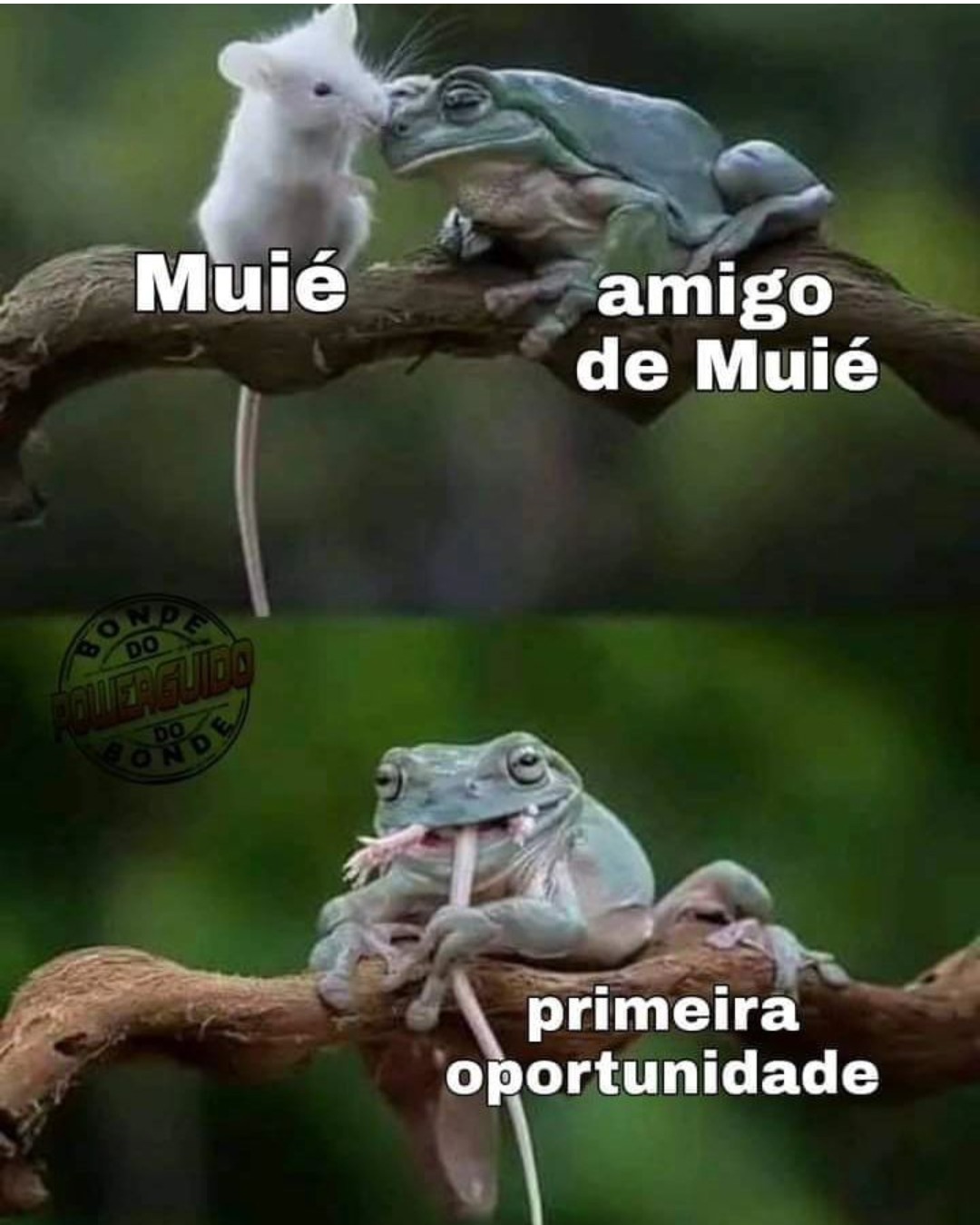 The best Muie memes :) Memedroid