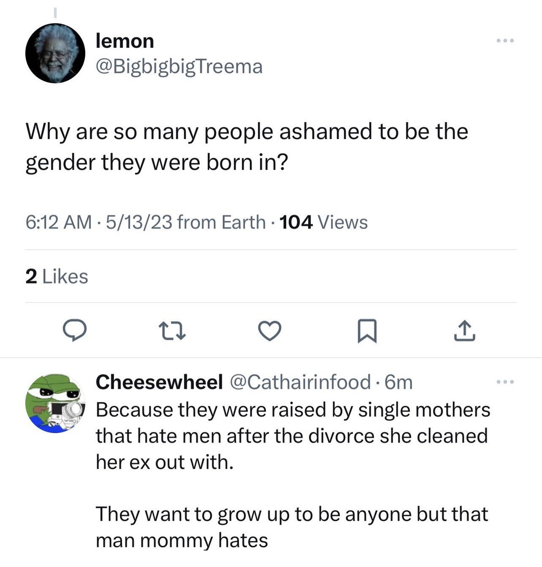 Rise in single moms means a rise in violence, bad education and the Gay ...