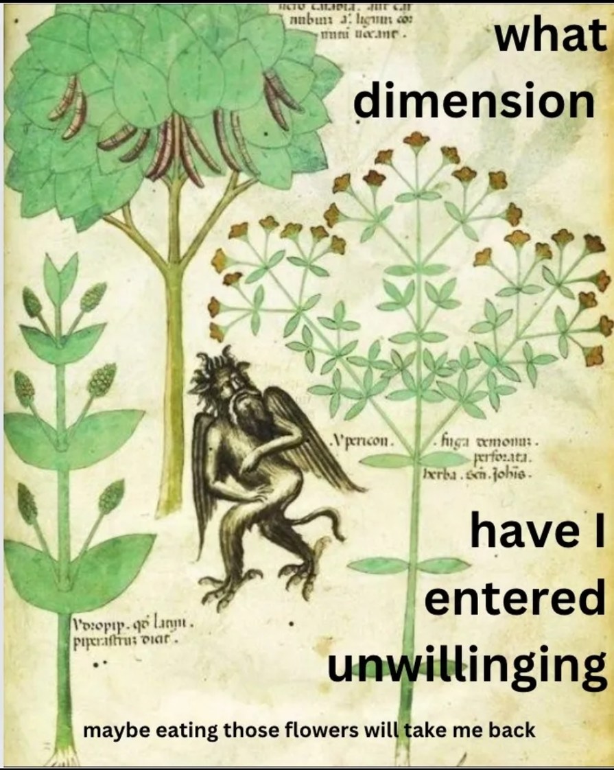 Latest memes / New memes :) Memedroid