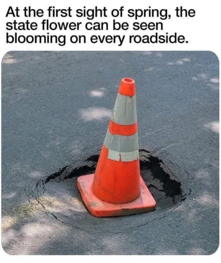 The Best Spring Memes :) Memedroid