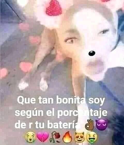 dime - Meme subido por emperadortemplario_ :) Memedroid