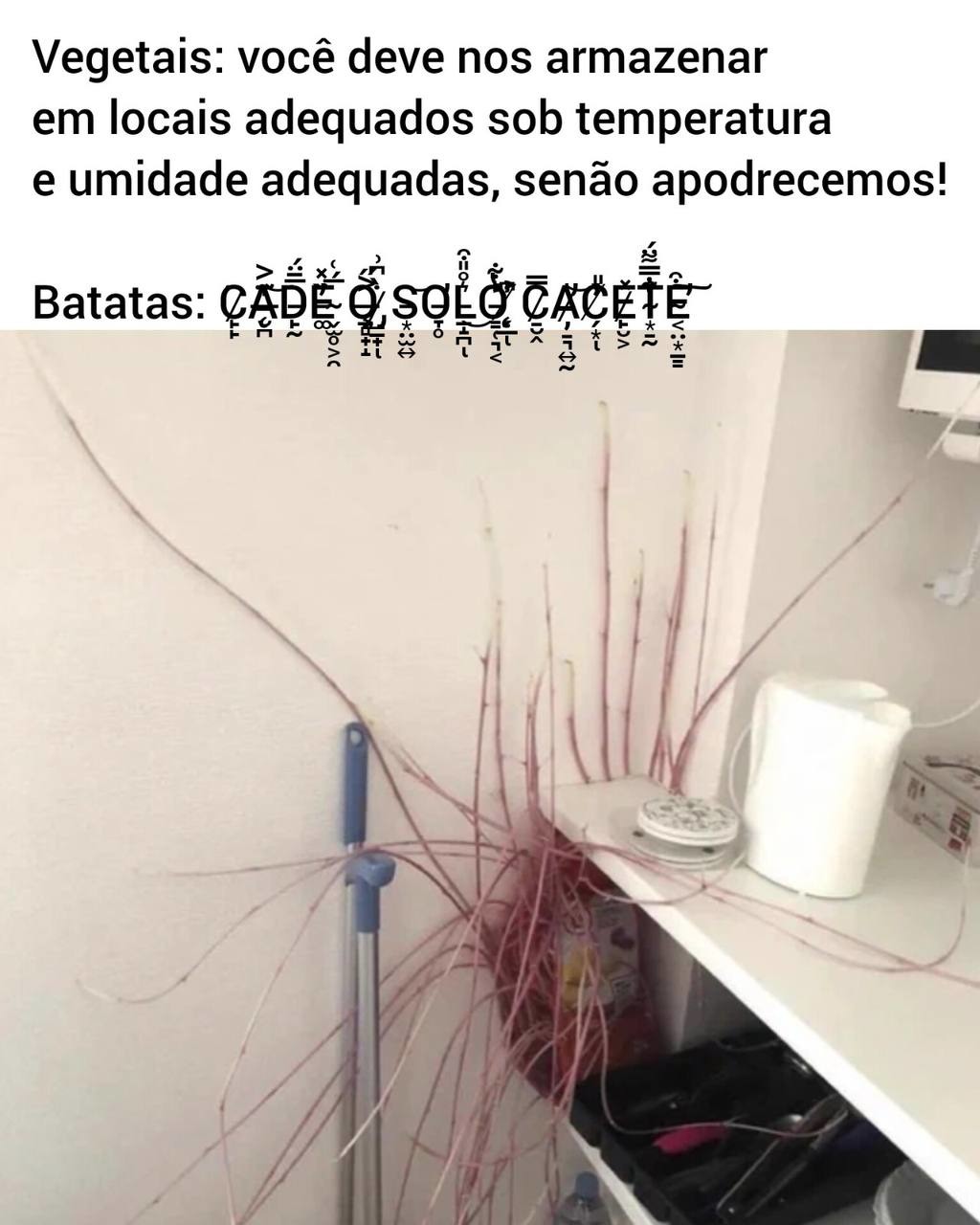 The best memes of the month :) Memedroid