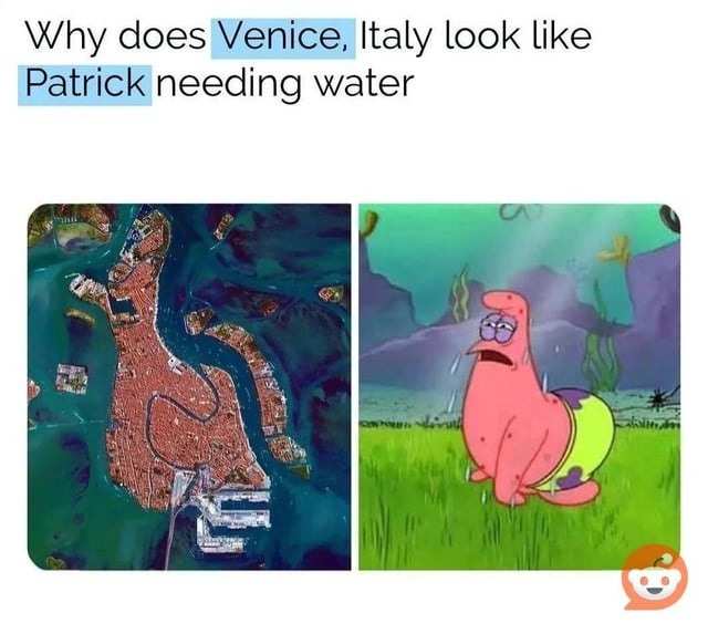 The best Patrick memes :) Memedroid