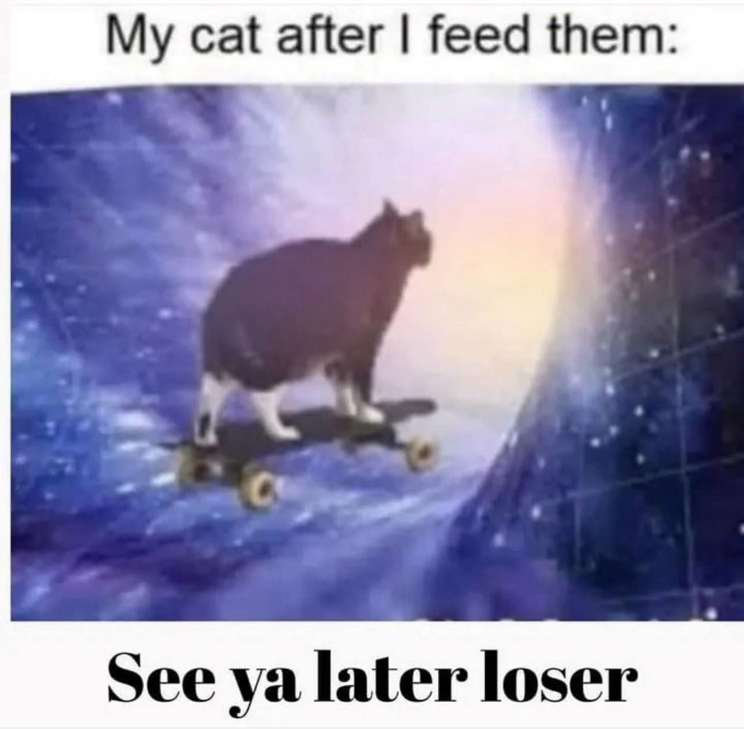 The best Daily Betrayal memes :) Memedroid