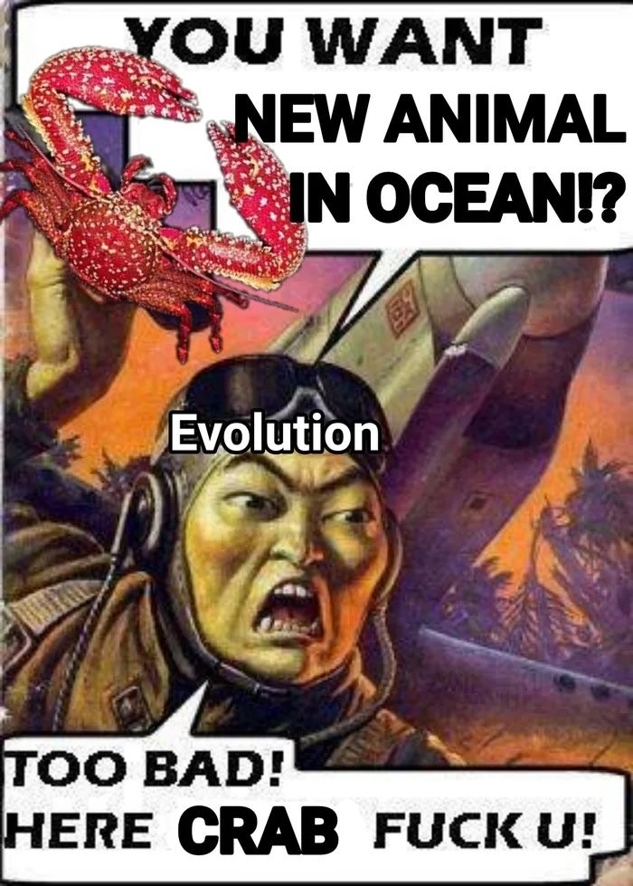 Memes Evolution History And Evolution Of Memes: Where It All Started?