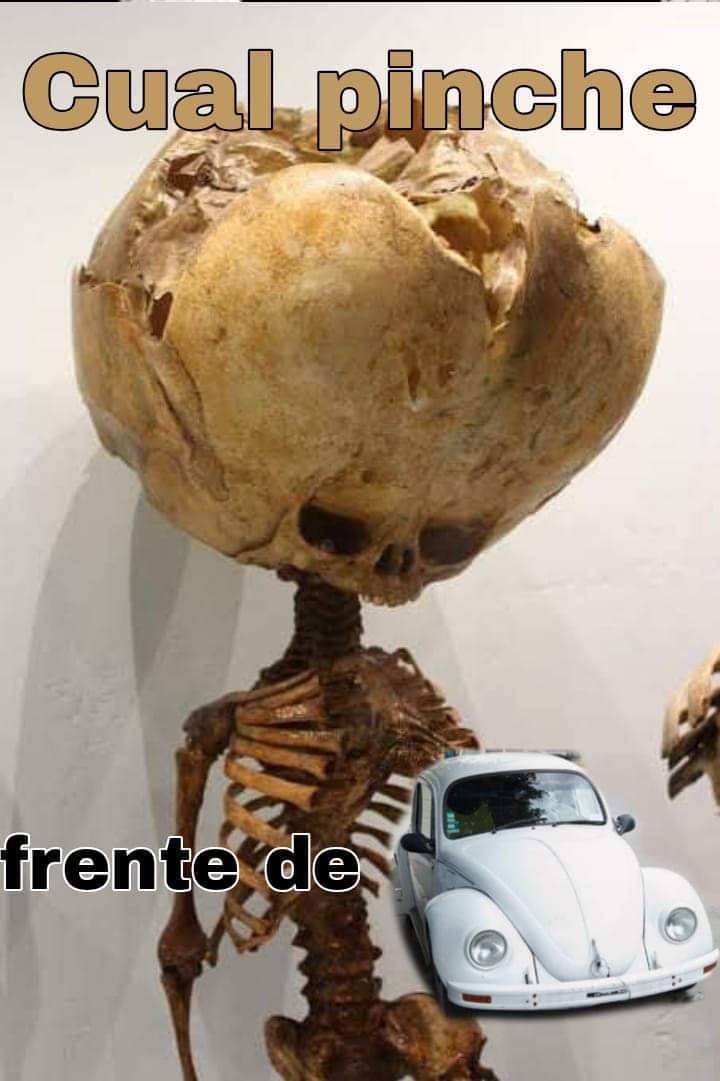 Frente de bocho - Meme subido por Josuerte12 :) Memedroid