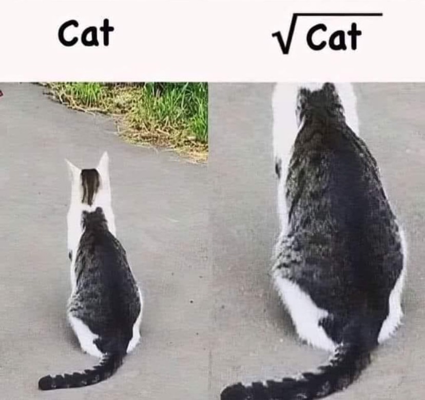 Los Últimos Memes :) Memedroid