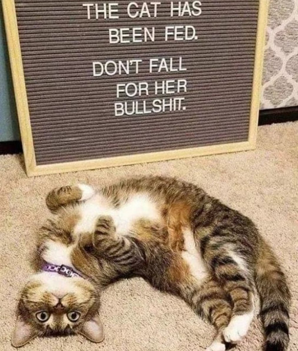 I would have fallen for it - Meme by deleted1250116 :) Memedroid