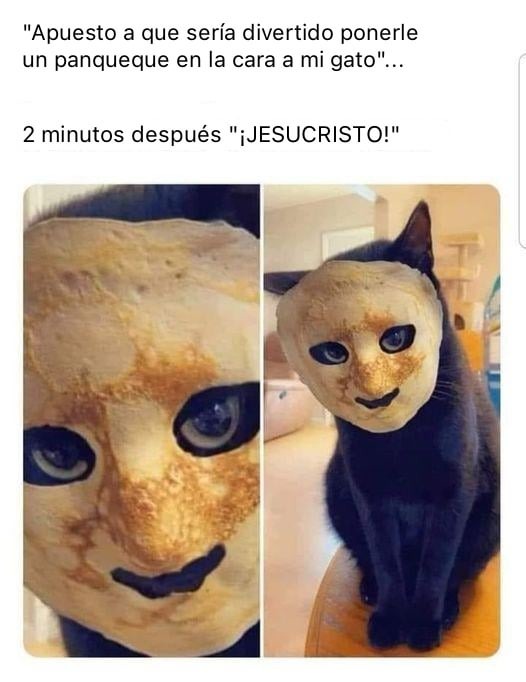 Los Últimos Memes :) Memedroid