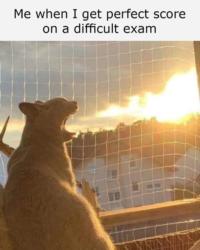 The best Success memes :) Memedroid