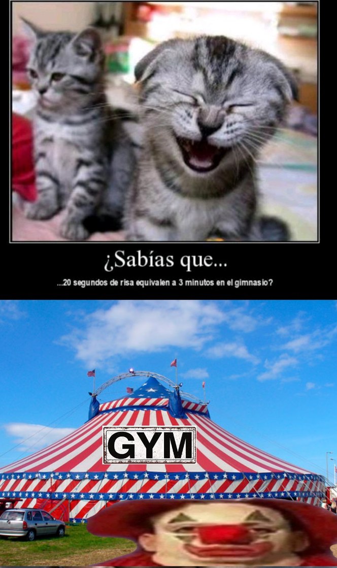 Meme culiao malo - Meme subido por Messi---Pelado :) Memedroid