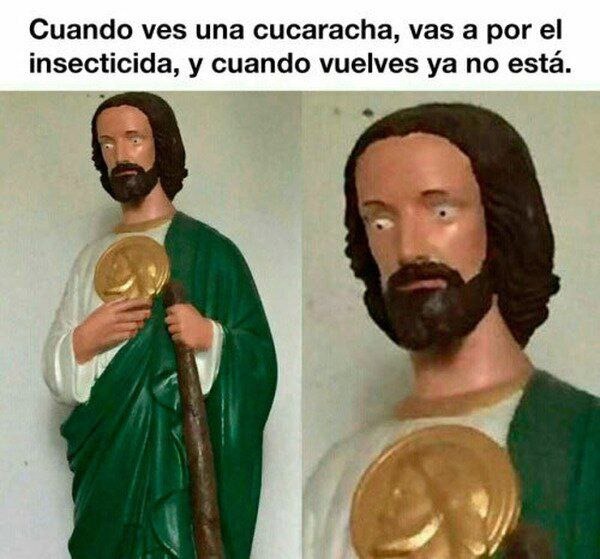 Top memes de Cucarachas en español :) Memedroid