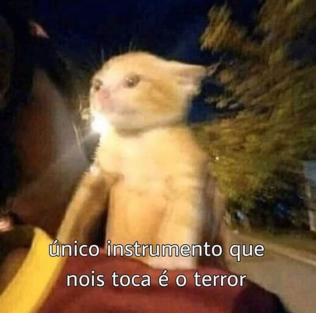 Sou multiinstrumentista, toco terror e canto - Meme by danieldagerom ...