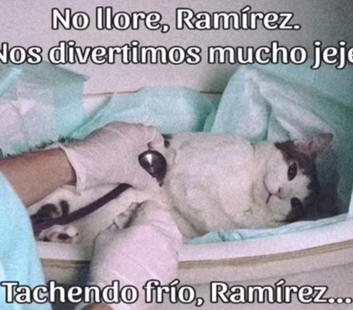 Los Últimos Memes :) Memedroid