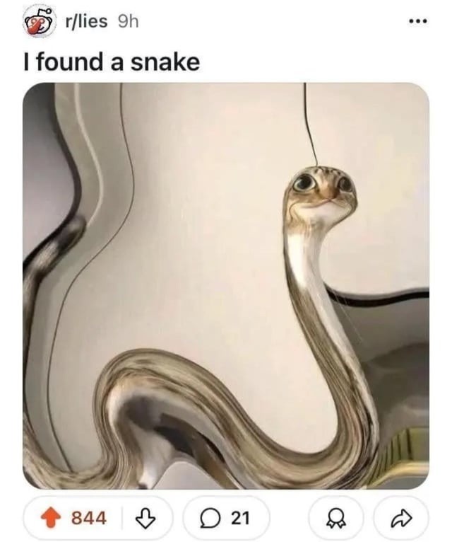 The best Snake memes :) Memedroid
