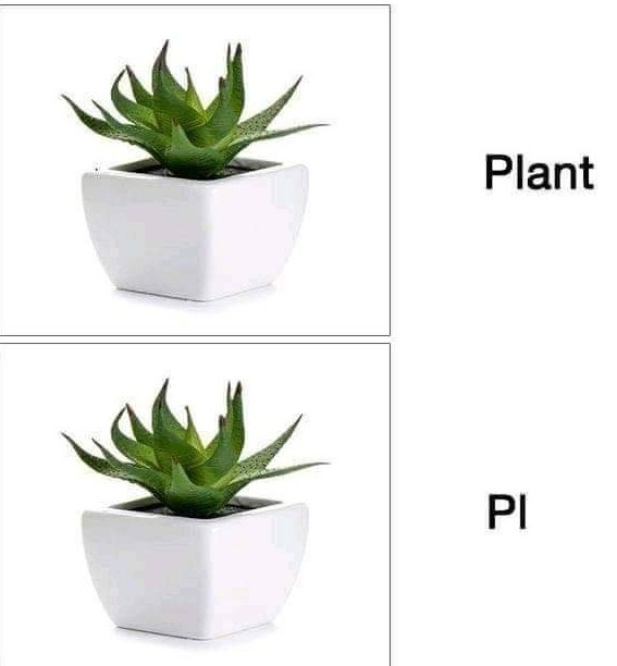 Ohhh, LMAO. Got me good - Meme by audilover23 :) Memedroid