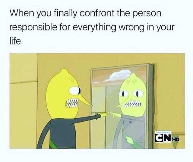 Mirror Meme Interesting Mirror Meme Enemy Incident Honkai: Star Rail