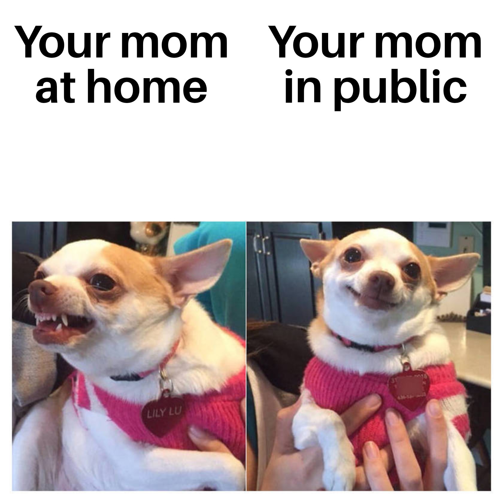 Non - Meme by HungryPaki_Duh. :) Memedroid