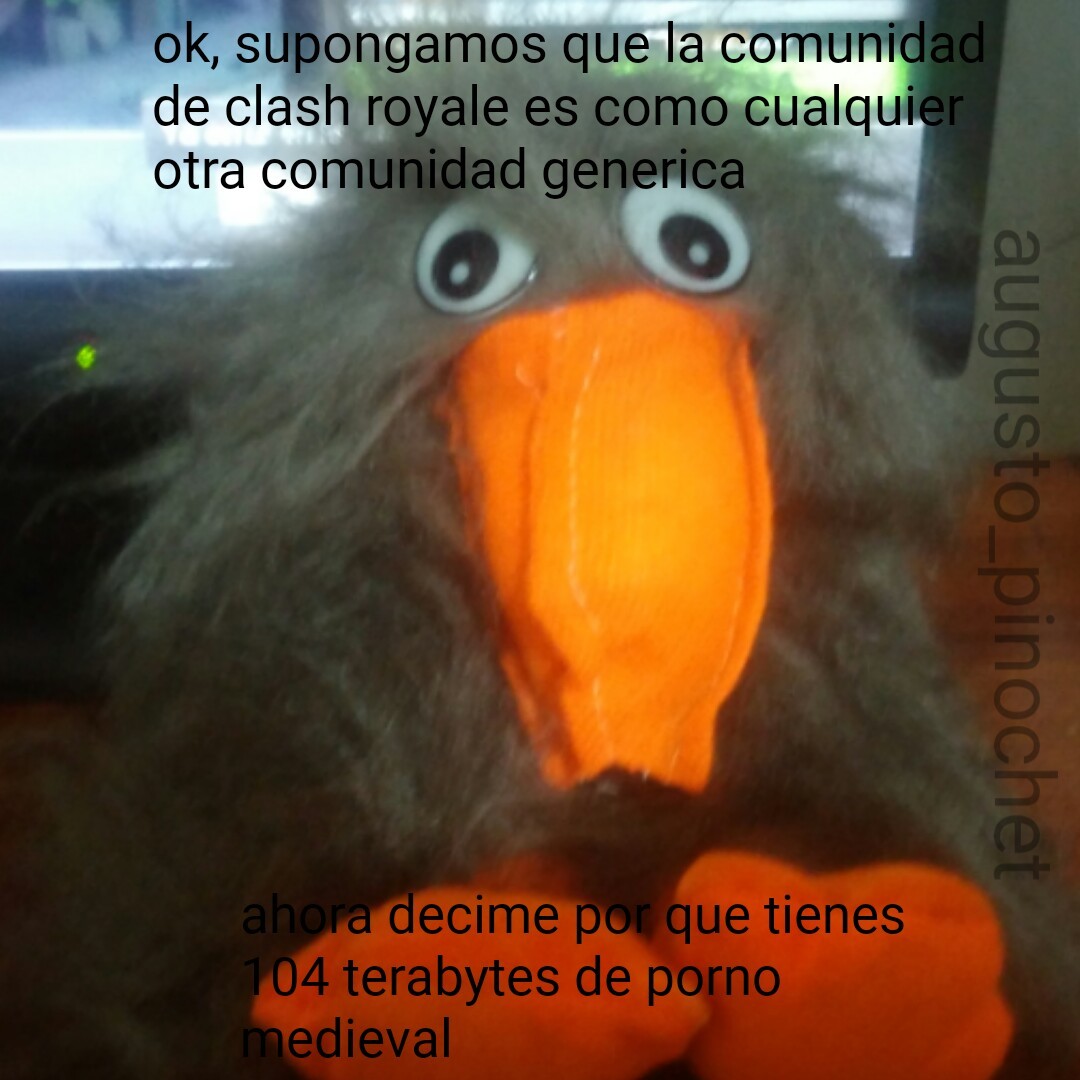 Top memes de pajarito en español :) Memedroid