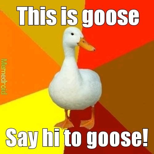 Comment goose - Meme by AlexWz :) Memedroid