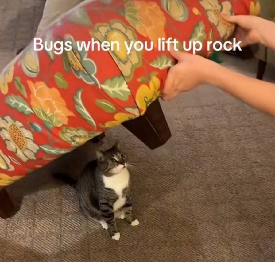 The best Nature memes :) Memedroid