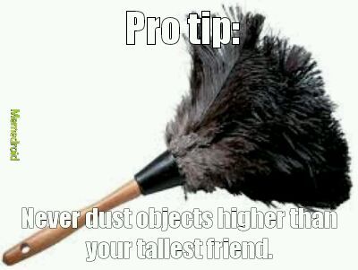 I guess I'm not dusting. - Meme by Asalisme :) Memedroid