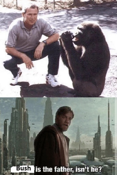 The best Drama memes :) Memedroid