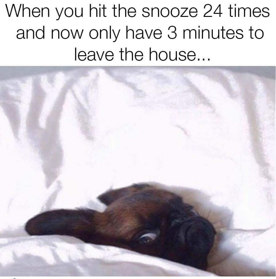 Every day - Meme by Johnny_P :) Memedroid