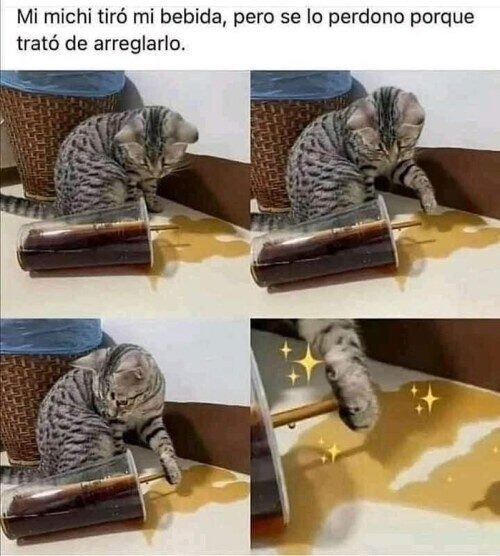 panini - Meme subido por POPETASNAYS :) Memedroid