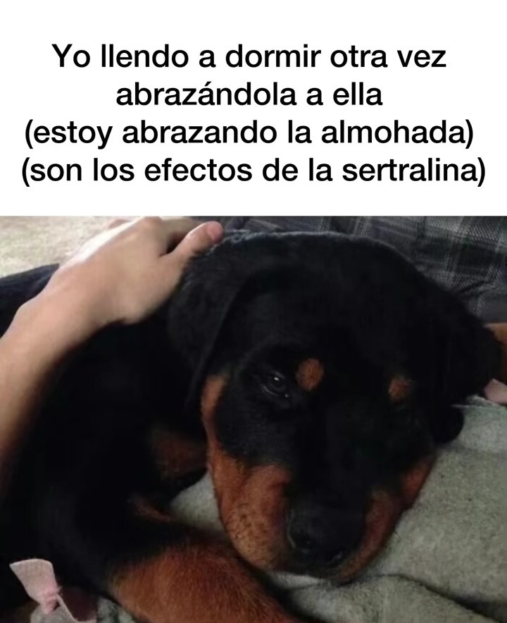 Los Últimos Memes :) Memedroid