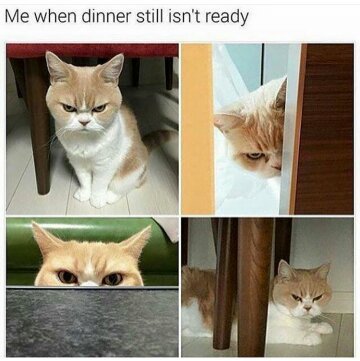 Not Yet!!?!?!?!?!?!?! - Meme by Lencs9 :) Memedroid