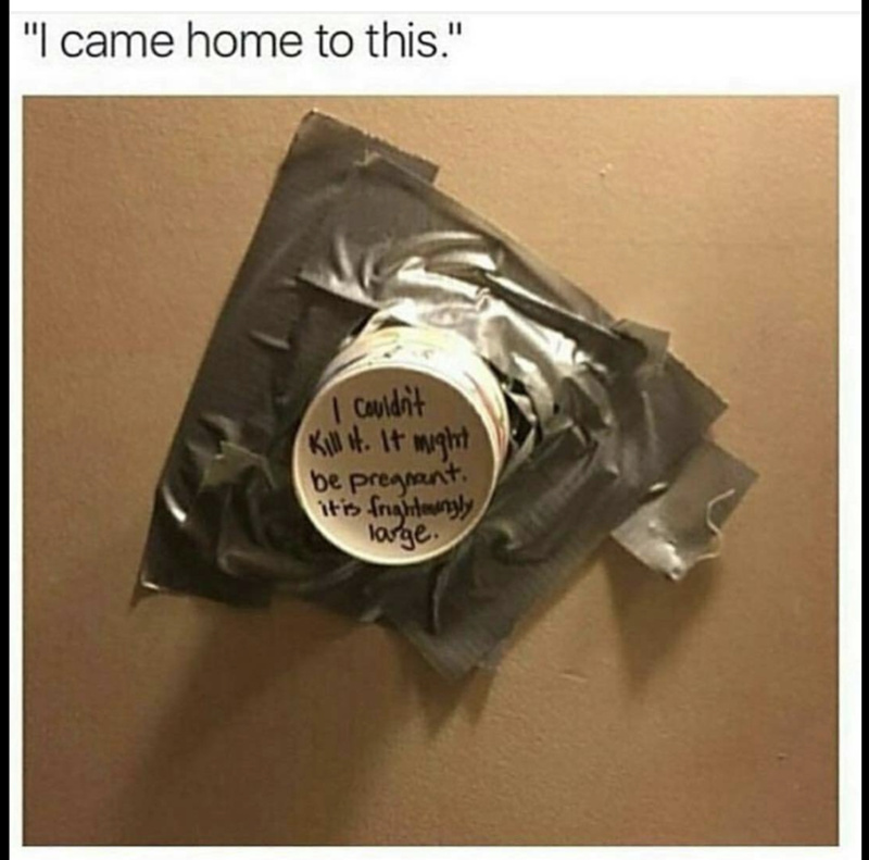 REEEEEEEEEEEEEEE - Meme by Helloiuyg :) Memedroid