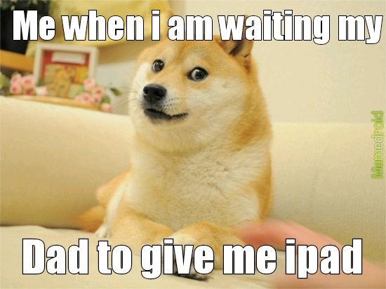 The Best Doge Memes :) Memedroid