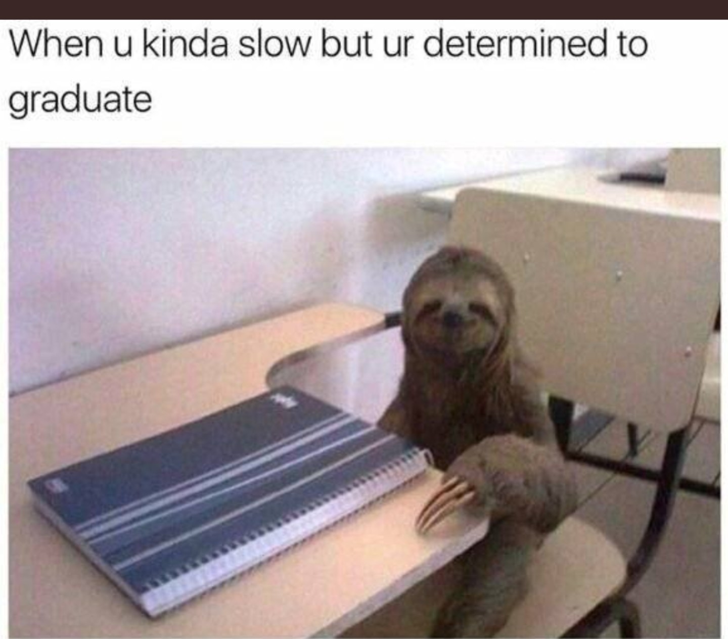 Slow mo - Meme by Palestine.Jerusalem :) Memedroid