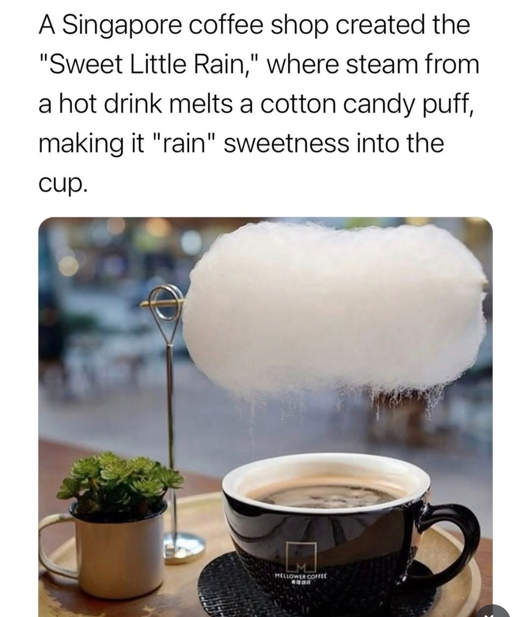 The best Wow memes :) Memedroid