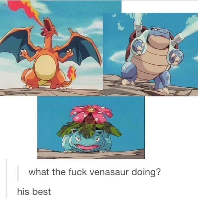 The best Venusaur memes :) Memedroid