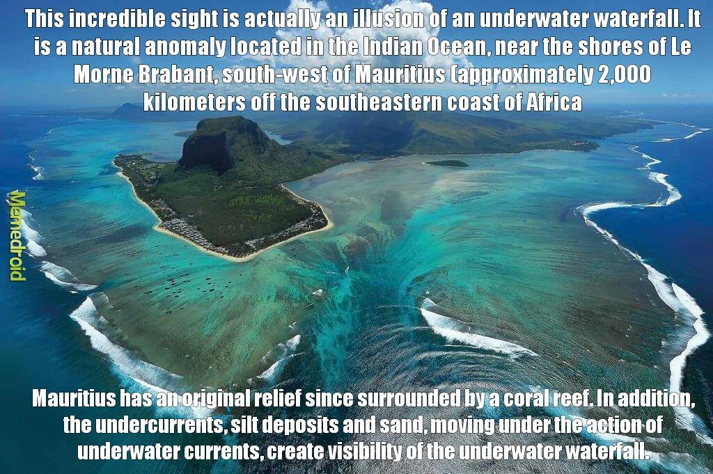 The best Mauritius memes :) Memedroid